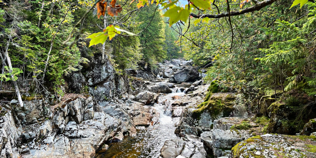 8 Best Adirondack Hikes - Sole Peaks
